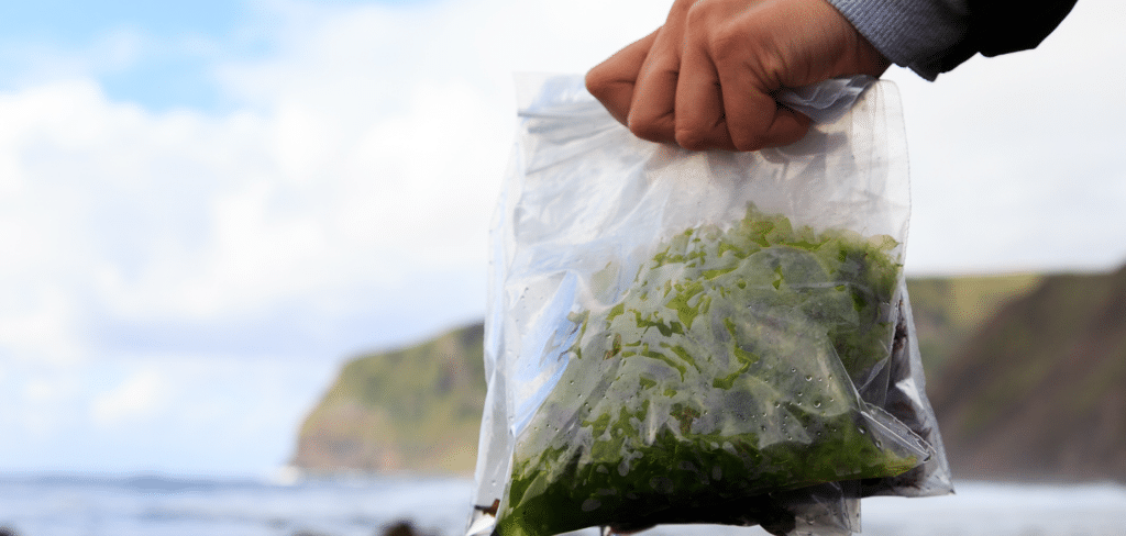 Documents and resources | EMBRC